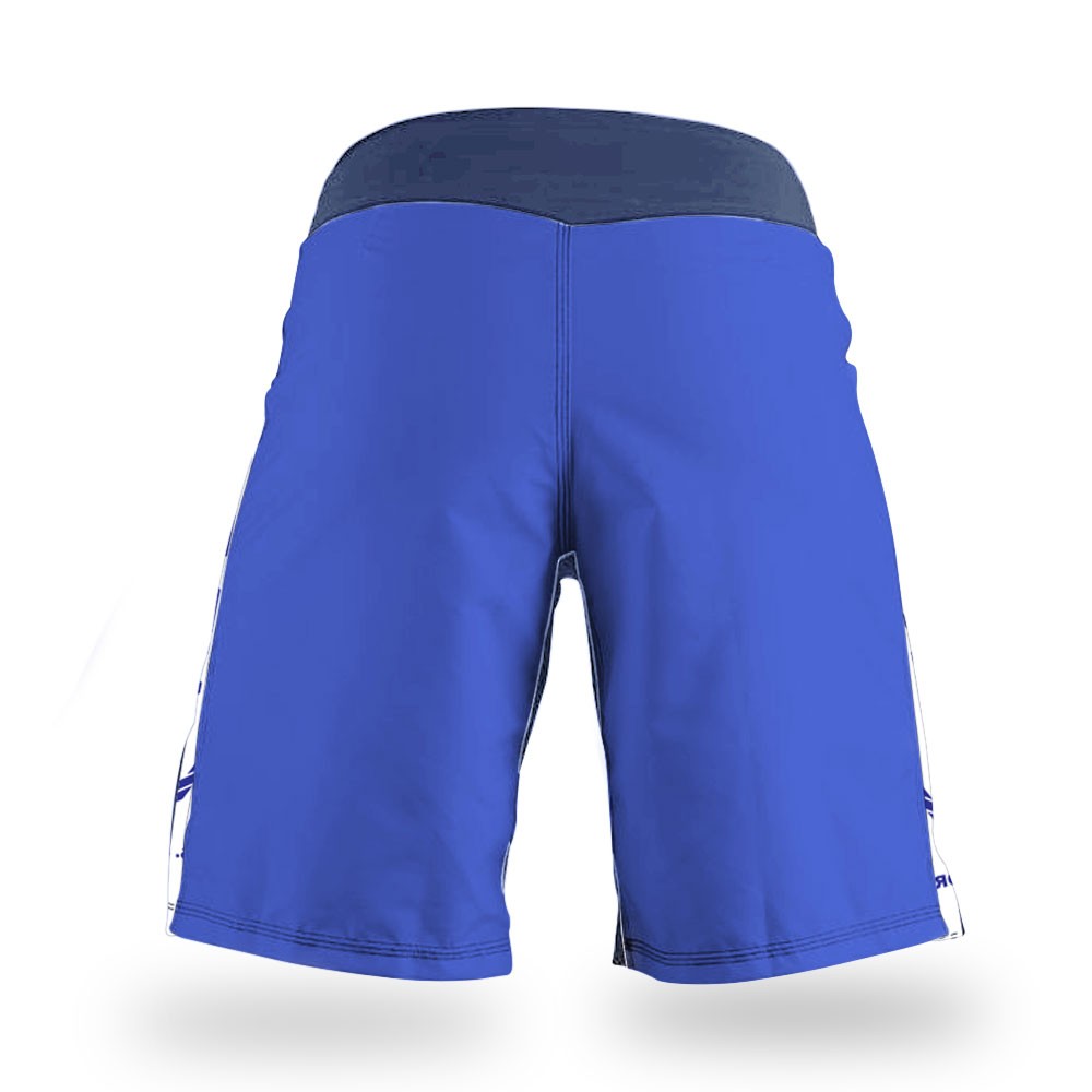 Clinch Gear Pro Series Air Force MMA Combat Sport Shorts