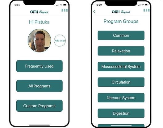 OMI PEMF Portable Full Body Mat - Pulsed Electromagnetic Field Therapy ...